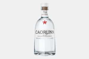 The 28 Best Gins To Drink Right Now | GearMoose