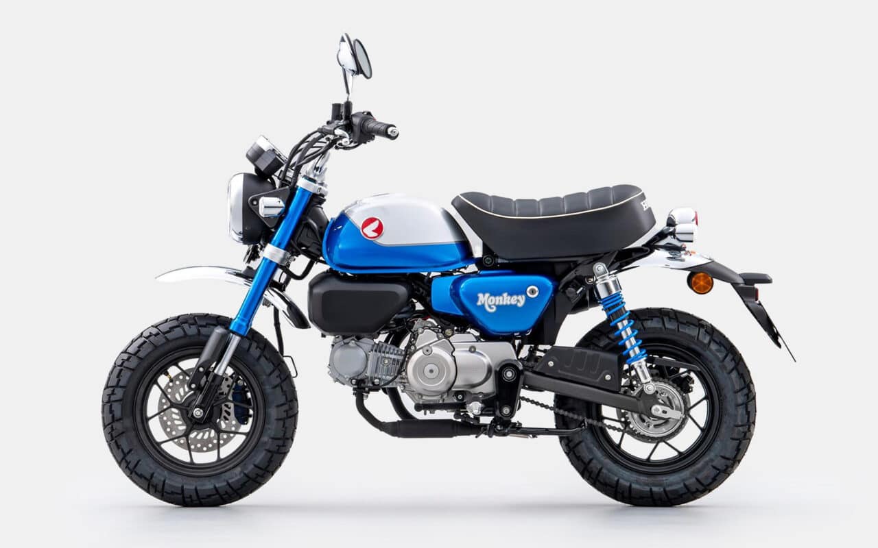 2022 Honda Monkey | GearMoose