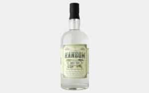 10 Underrated American Gins To Drink Right Now | GearMoose