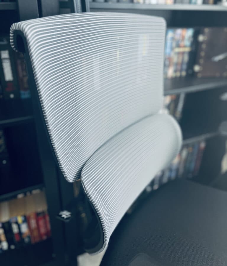 Flexispot C7 Office Chair Review | GearMoose